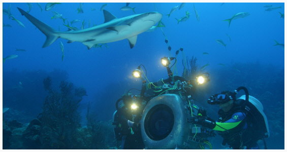 Wunder der Tiefe | IMAX 3D Kino Sinsheim